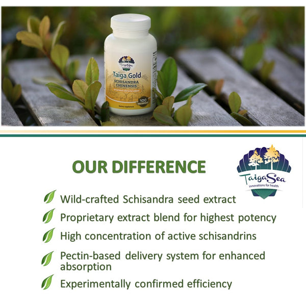 Taiga Gold with Schizandra Chinensis - Dietary supplement – TaigaSea